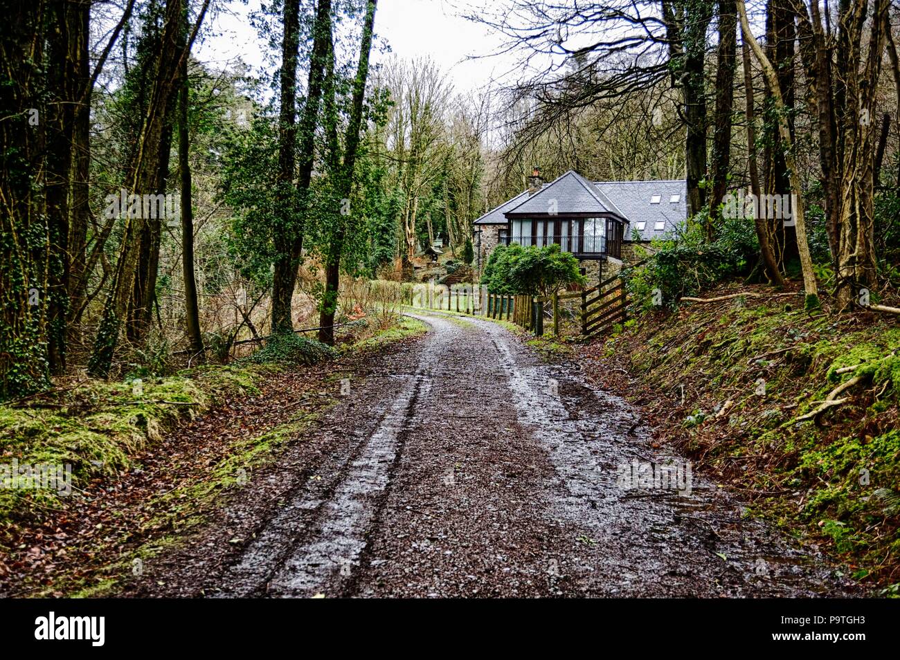 Forest house scotland hi-res stock photography and images - Alamy