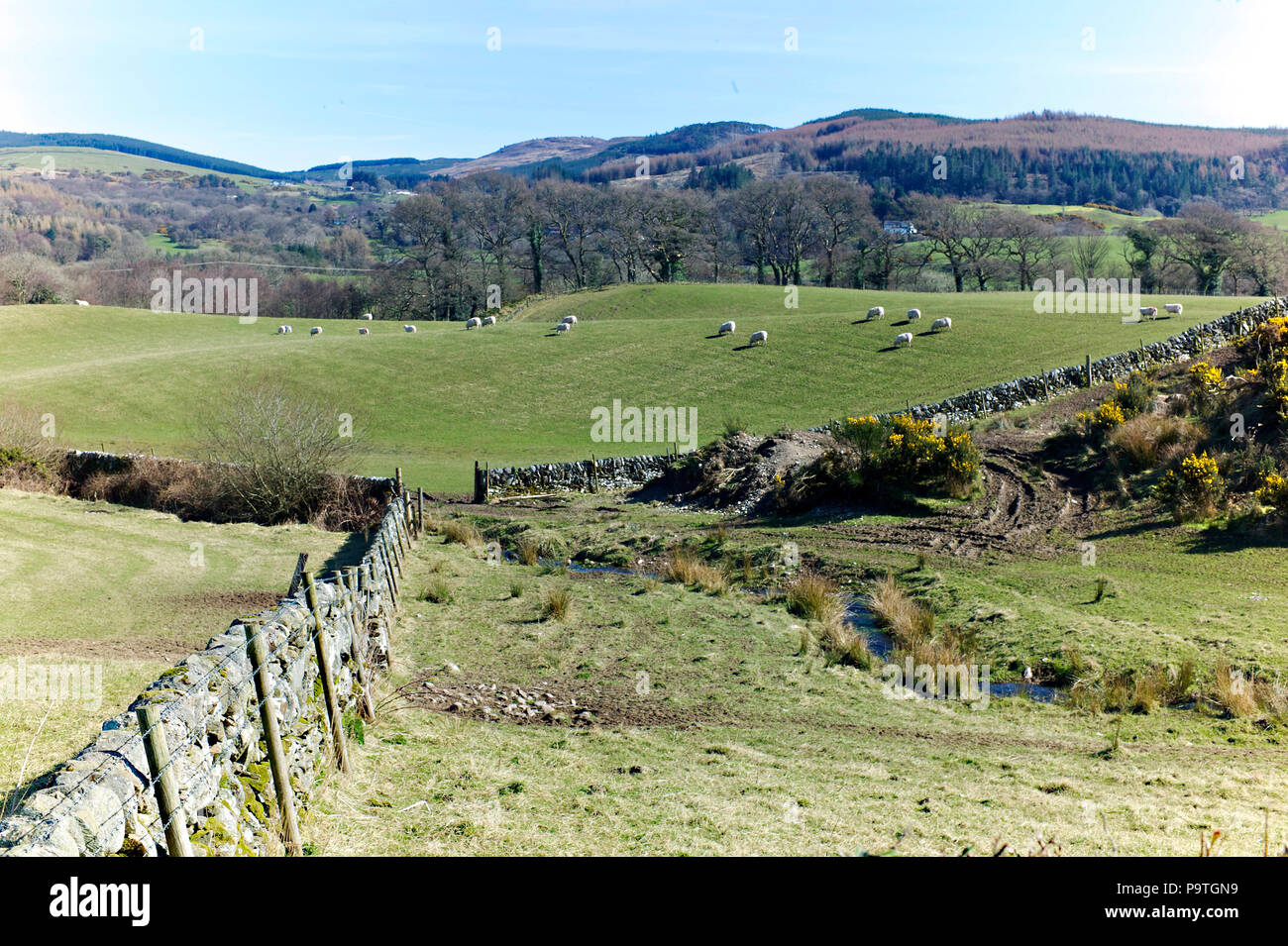 Dumfries and galloway landscape hi-res stock photography and images - Alamy