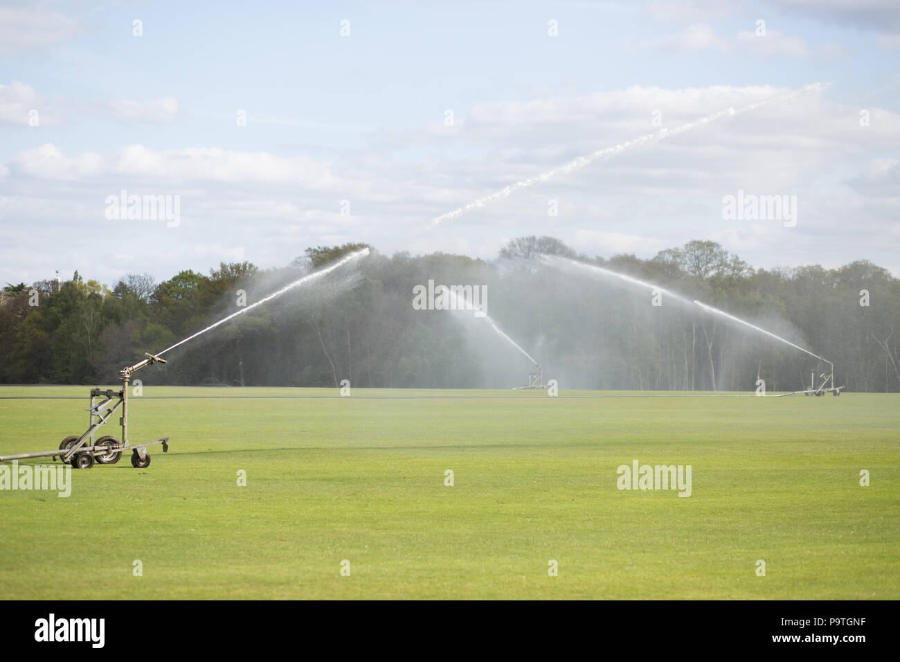 Polo field hi-res stock photography and images - Alamy