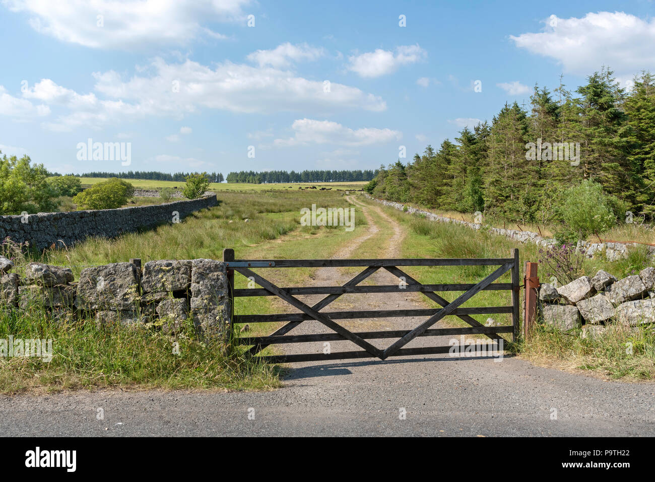 Woods and closed gate hi-res stock photography and images - Alamy