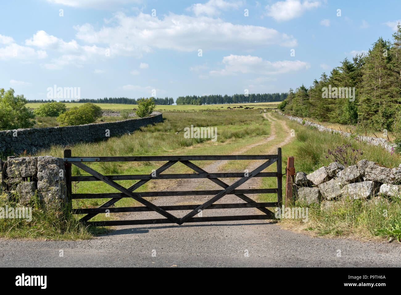 Five bar gate at a farm entrance. Devon, England UK Stock Photo - Alamy
