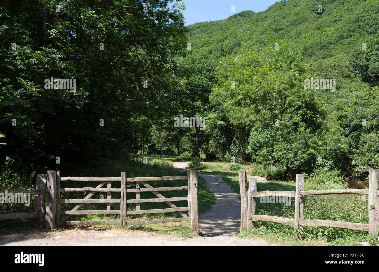 Gateway to a public footpath through a wooded area in Devon, England UK ...