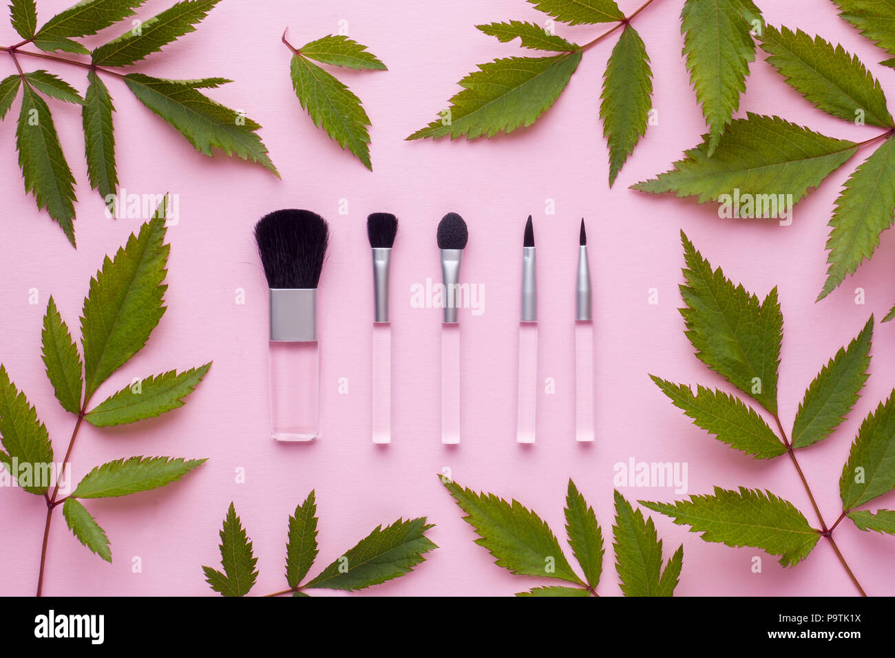 Makeup brushes on a pastel pink background with plant leaves. Beauty ...