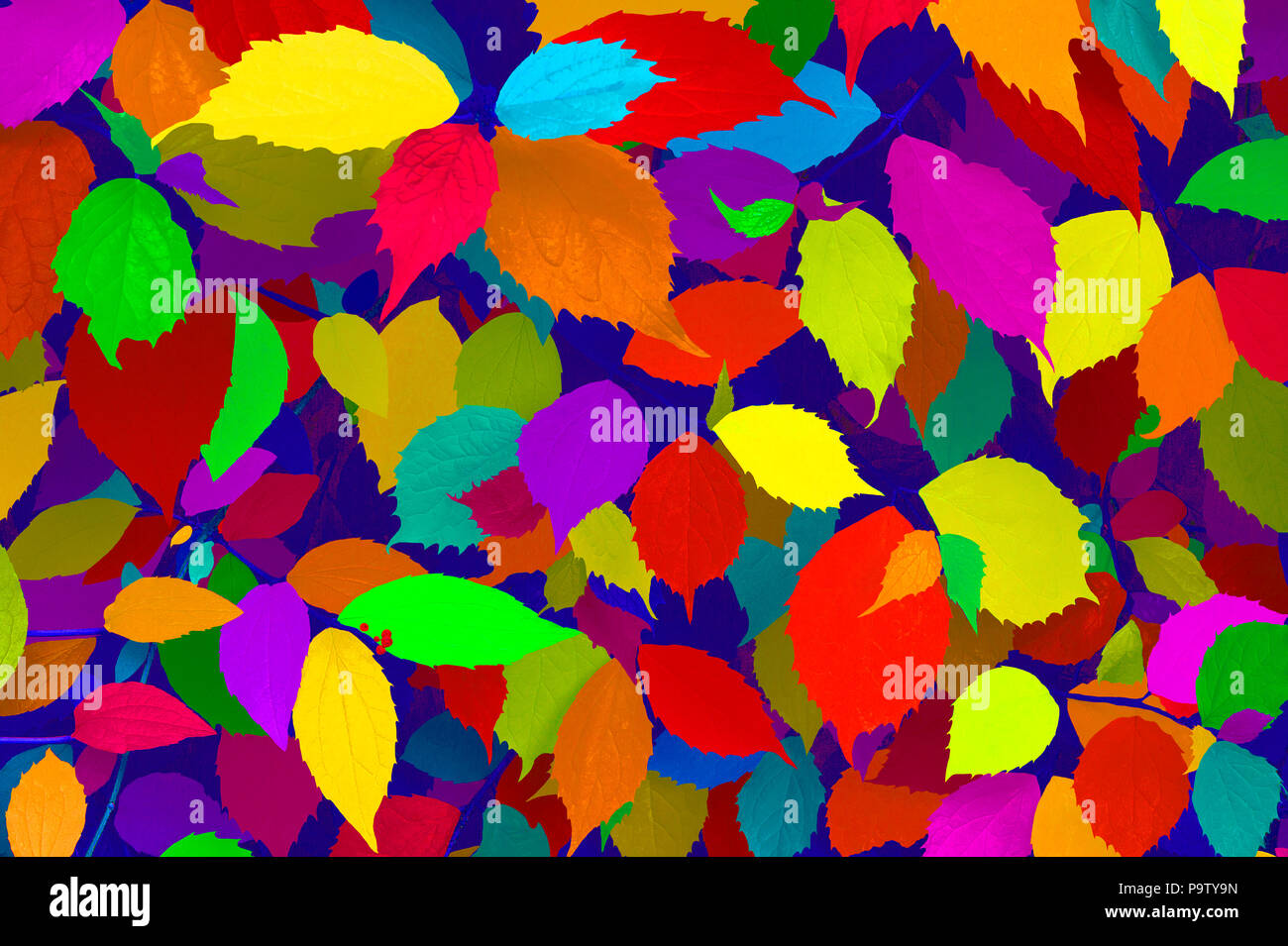 Happy wallpaper hi-res stock photography and images - Alamy