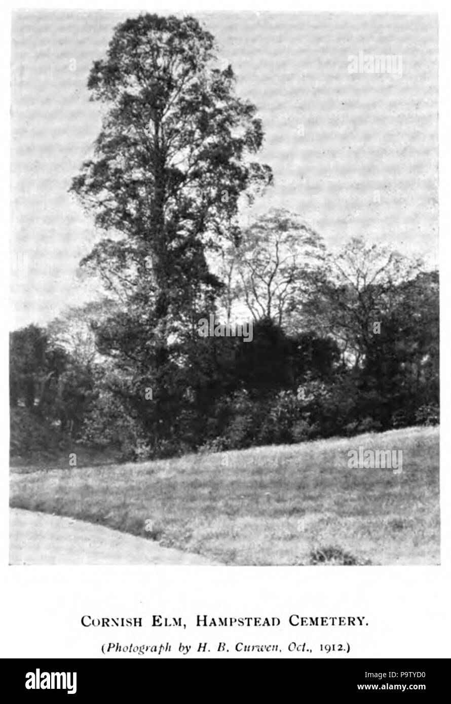 Hampstead cemetery hi-res stock photography and images - Alamy