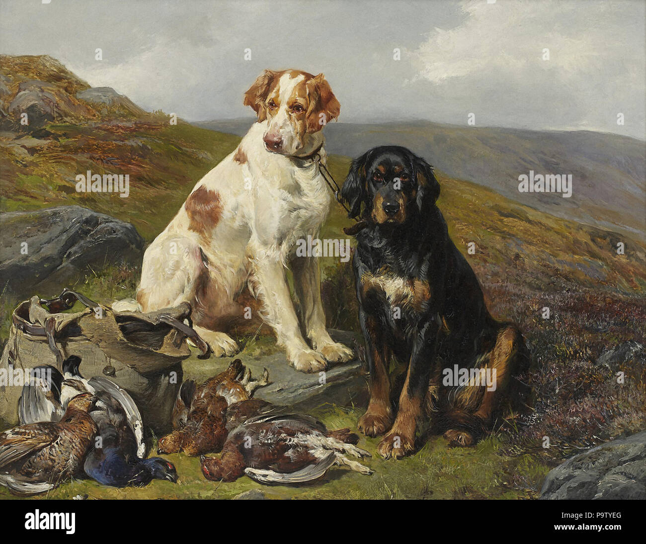 English setters painting hi-res stock photography and images - Alamy