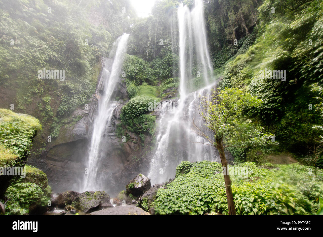 Waterfall in green rainforest. Triple waterfall Sekumpul in the ...