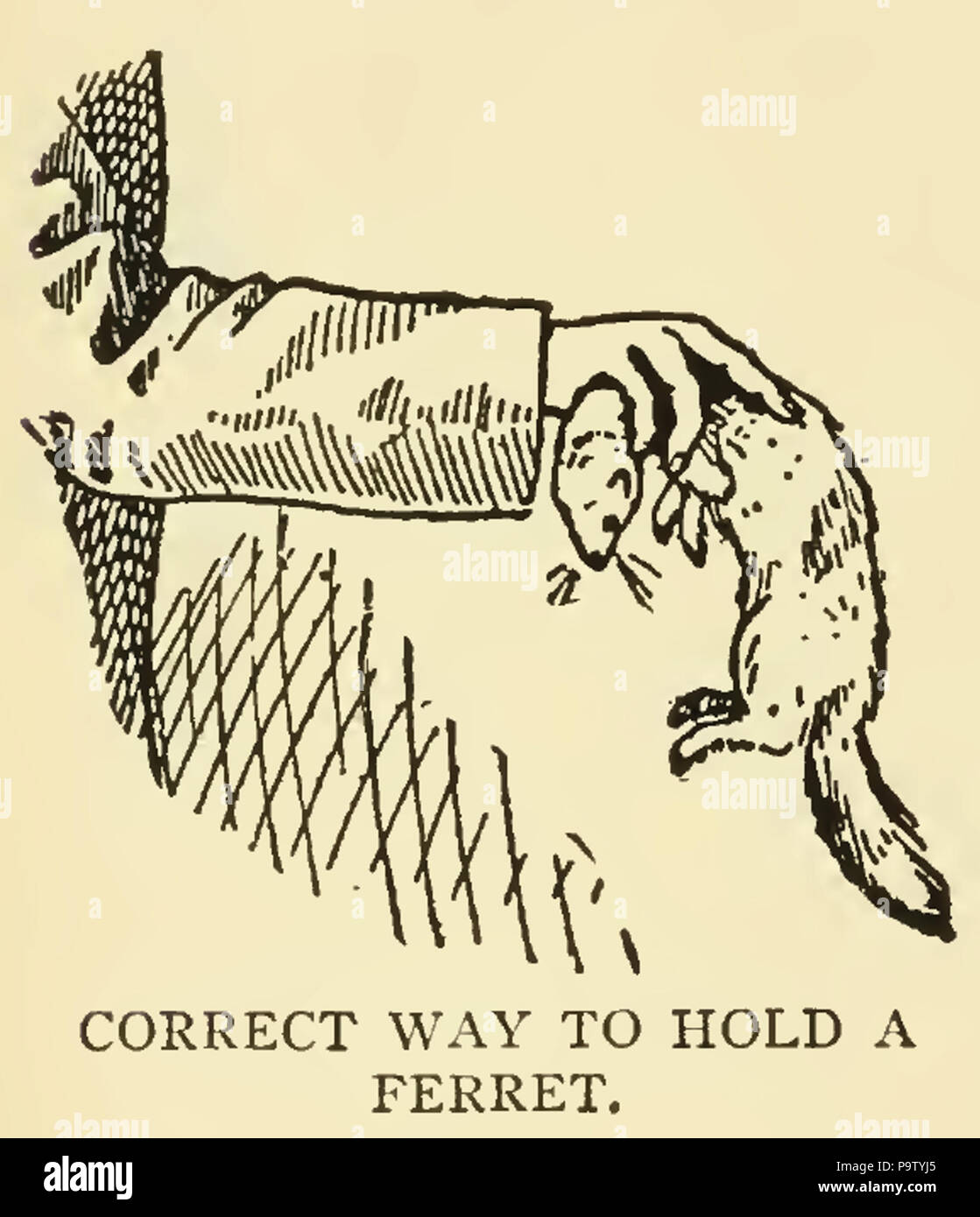 Correct way hi-res stock photography and images - Alamy