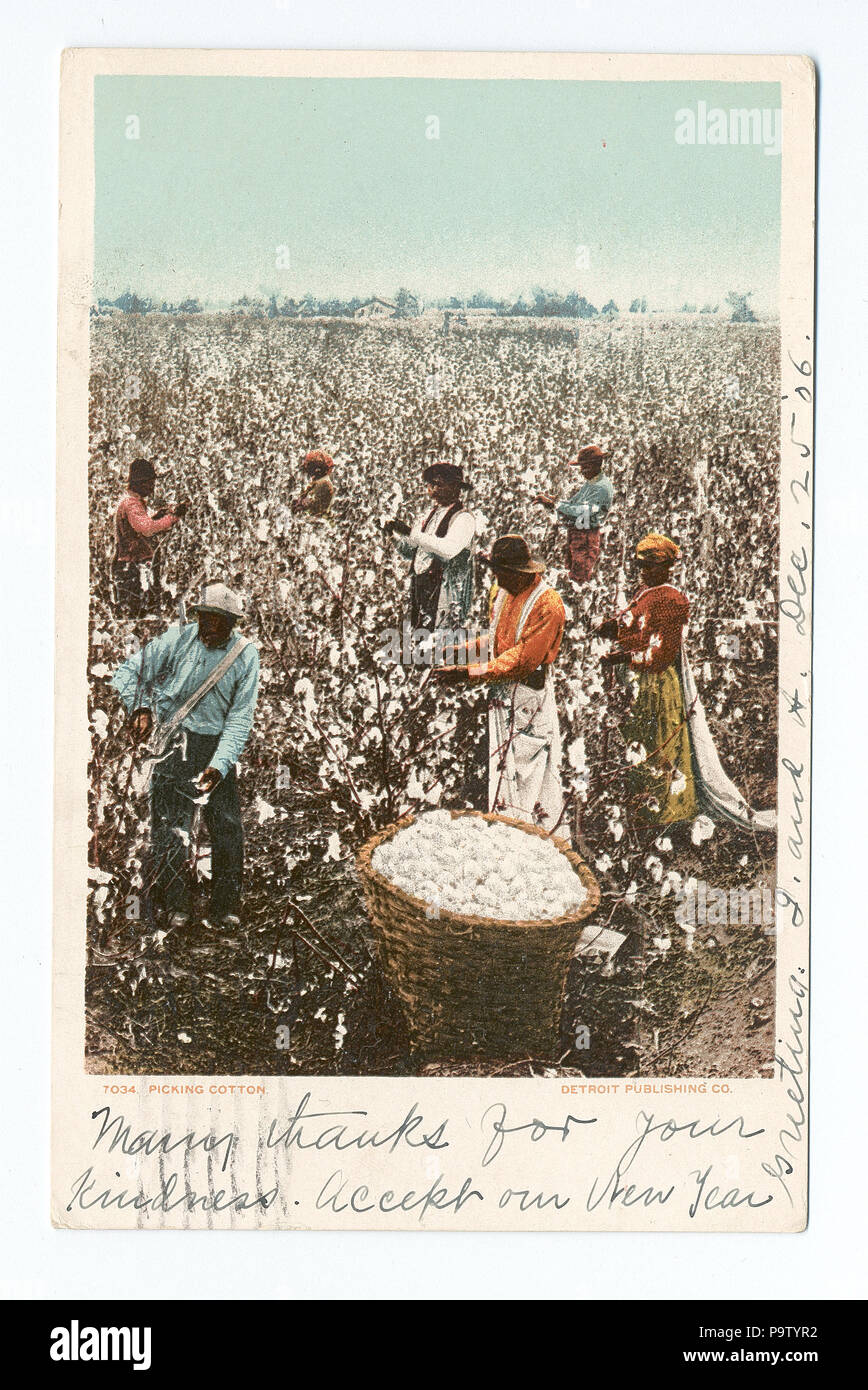 The cotton pickers hi-res stock photography and images - Alamy