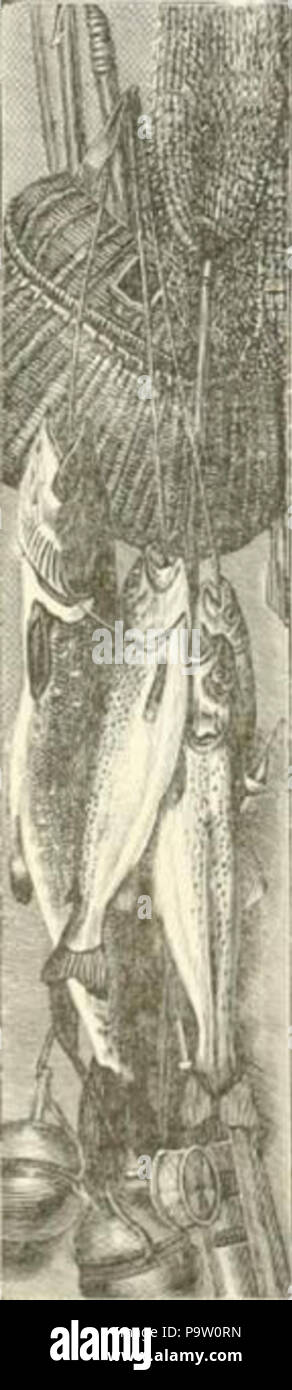 Fish creel hi-res stock photography and images - Alamy