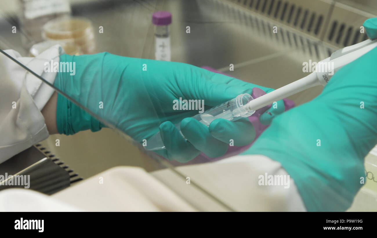 Microbiologist is conducting research and doing tests with biological ...