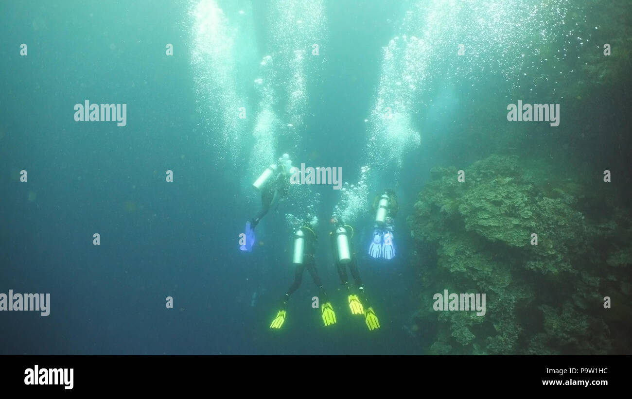 Scuba divers explores underwater coral reef and watching the fish.Scuba ...