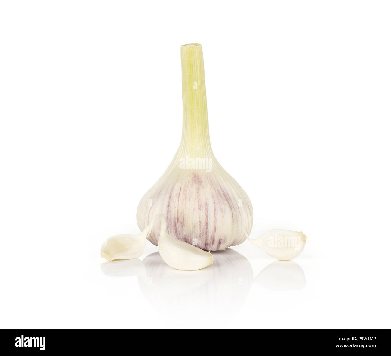 Young garlic one bulb with green stem and three separated cloves ...