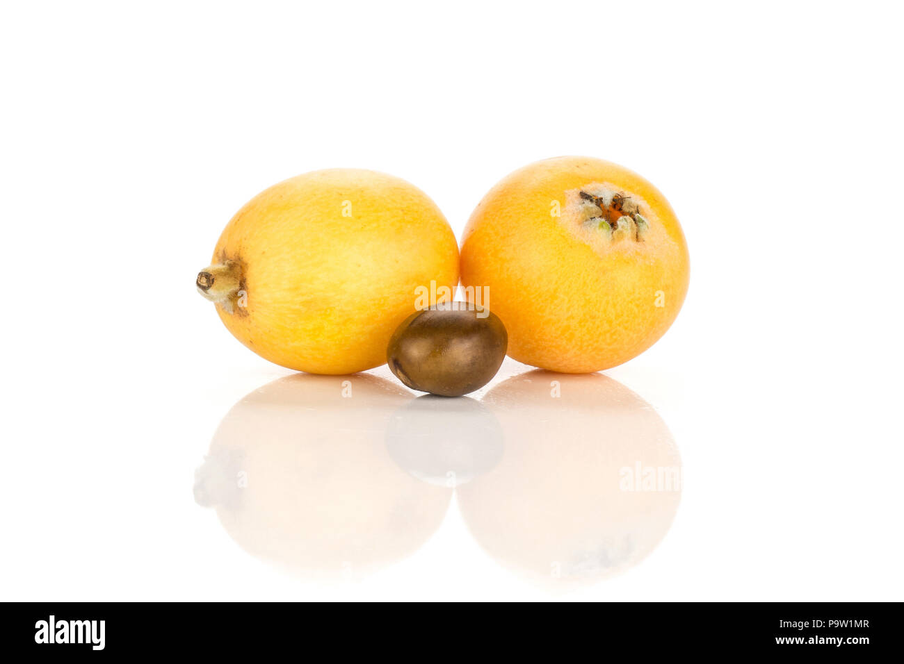 Two fresh orange Japanese loquats with a brown seed isolated on white ...
