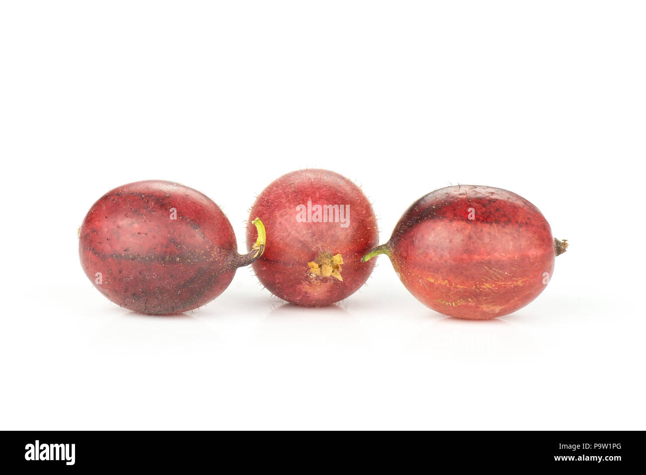 Group of three whole fresh red gooseberry hinnomaki variety isolated on ...