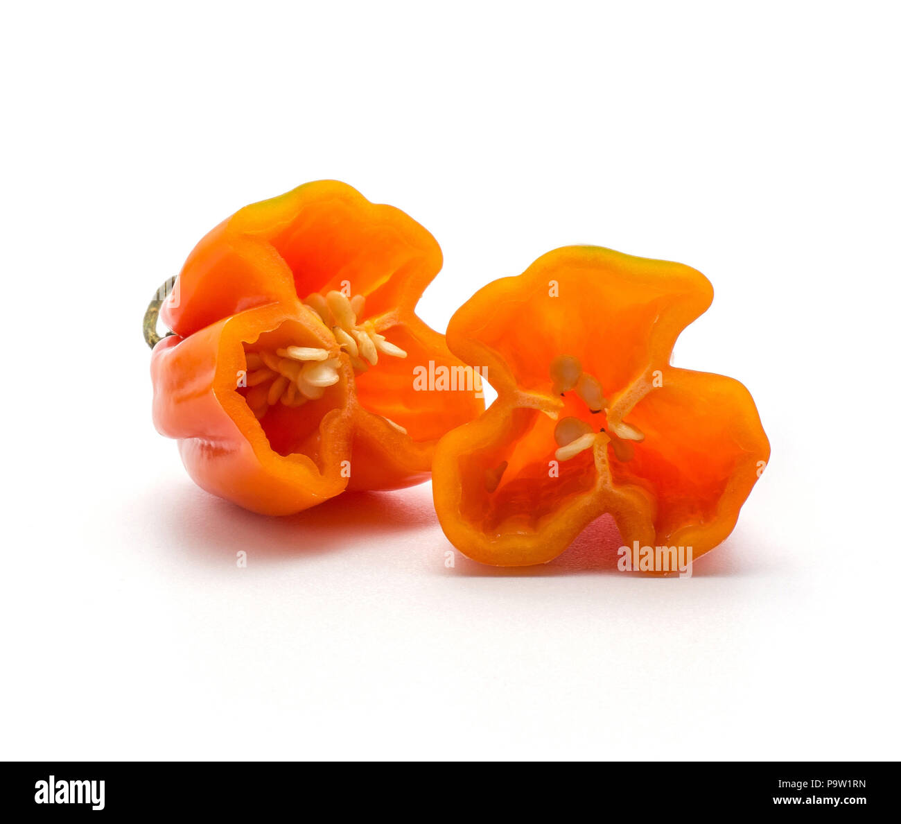 Orange Habanero chili two halves with seeds isolated on white ...