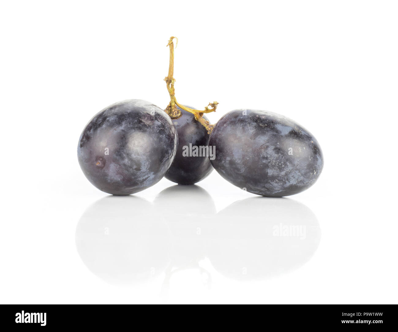 Black grape three berries (autumn royal variety) isolated on white ...
