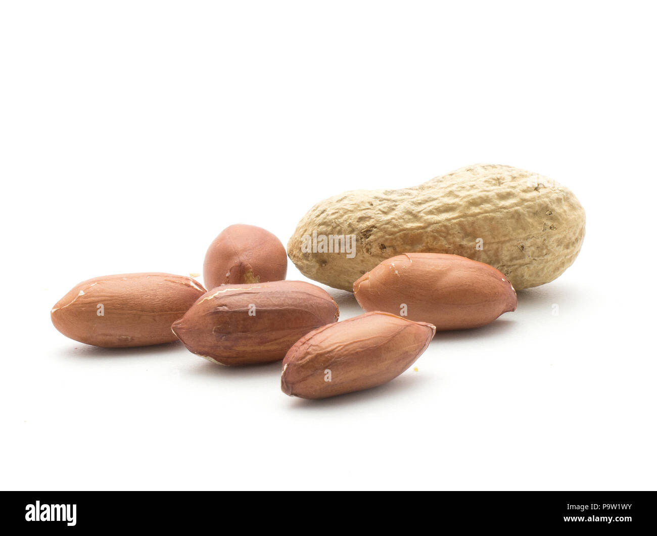 Five shelled peanuts in husk and one unshelled nut isolated on white ...
