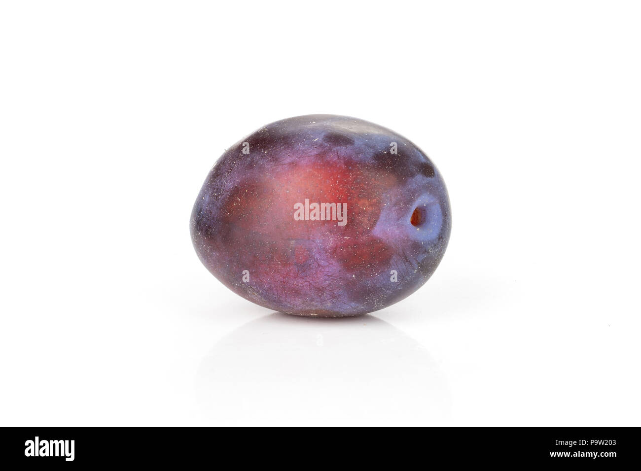 One whole fresh violet-blue plum vibrant moyer variety isolated on ...