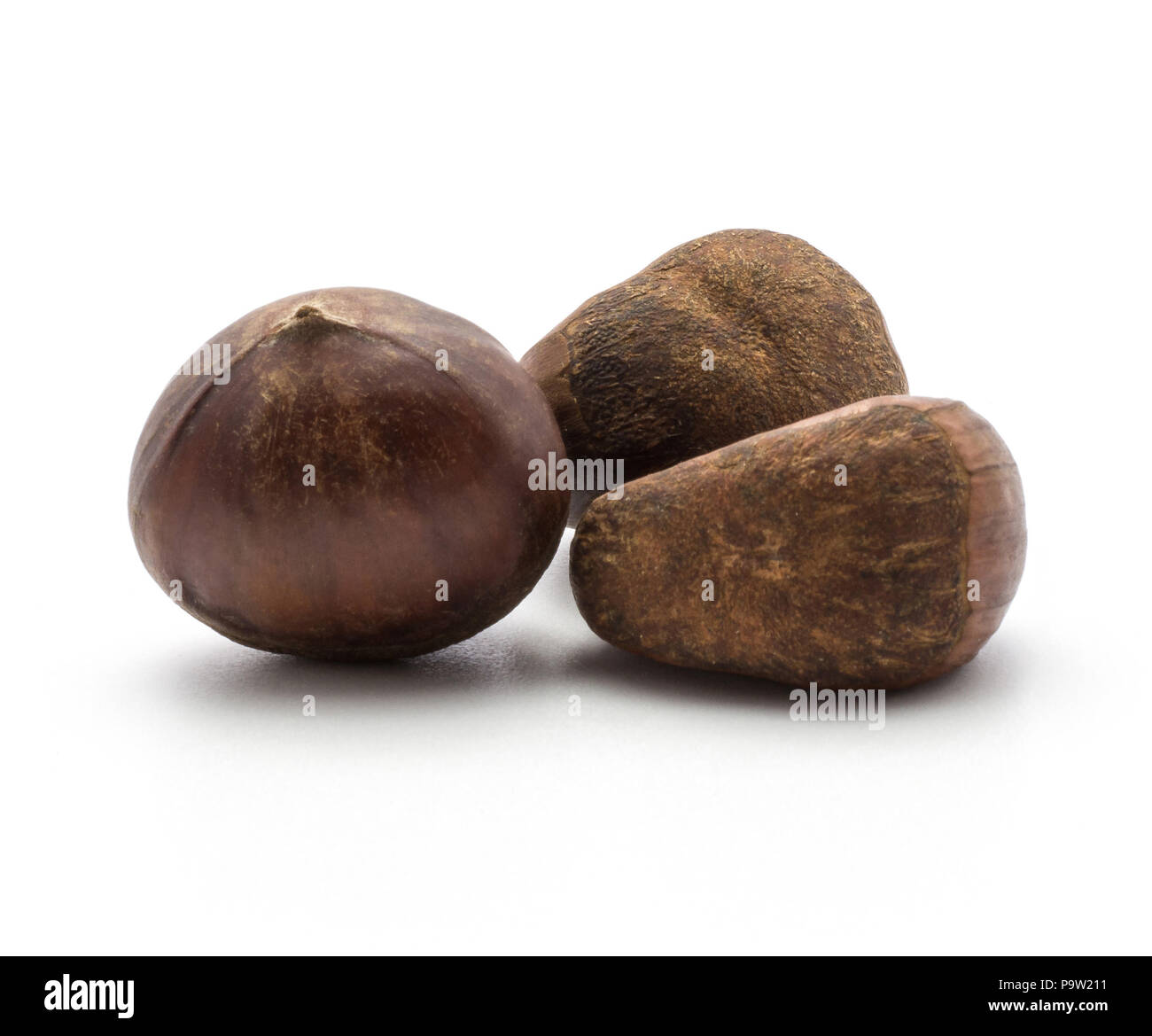 Portuguese chestnut Cut Out Stock Images & Pictures - Alamy