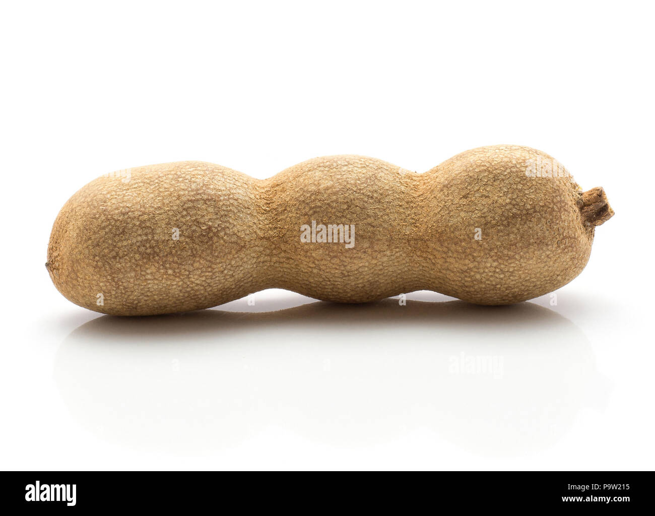 Tamarind one Indian date in a brown brittle shell isolated on white ...