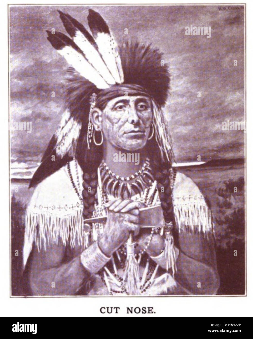 Cut nose hi-res stock photography and images - Alamy