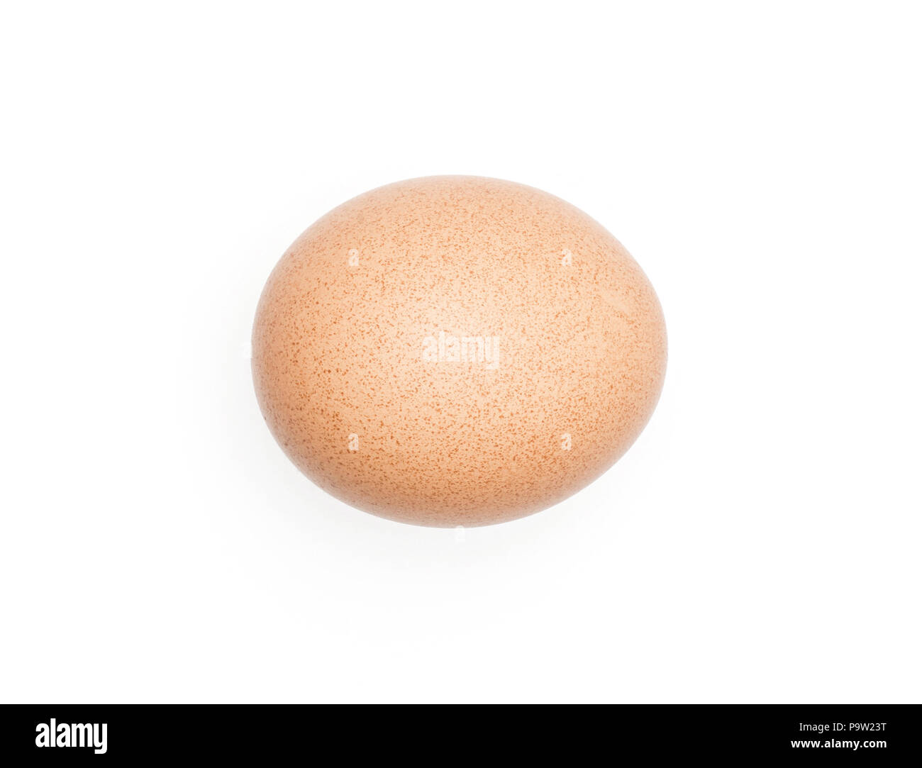 One brown chicken egg top view isolated on white background domestic ...