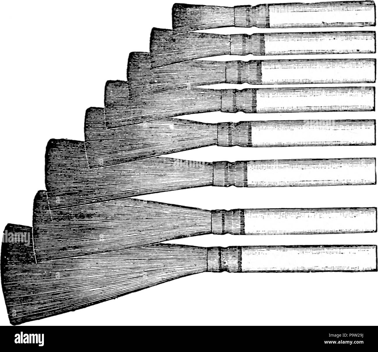 Artencyclopedia hi-res stock photography and images - Alamy