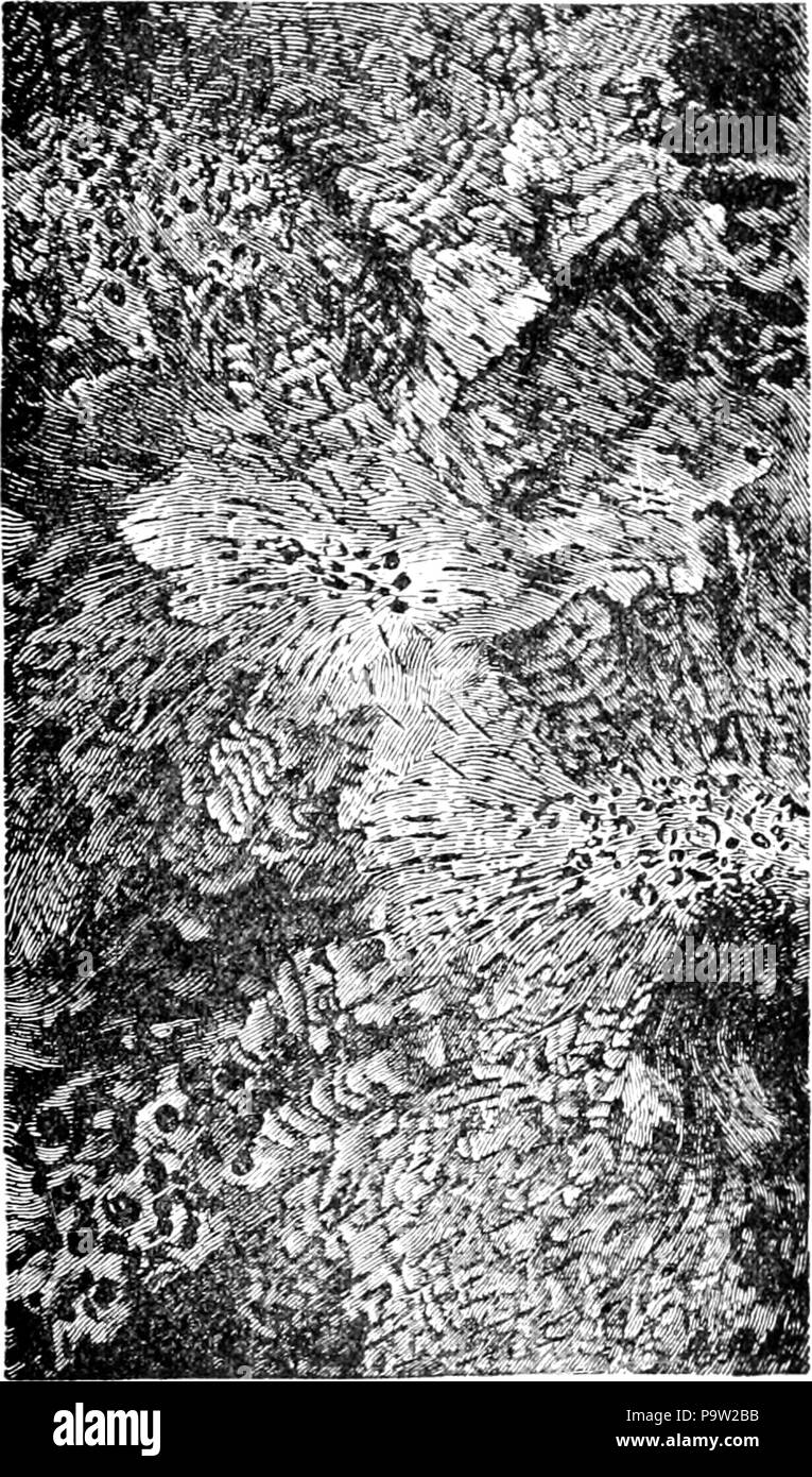 Teaching styles hi-res stock photography and images - Alamy