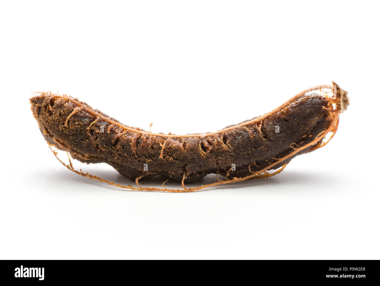 Open tamarind brown jelly flesh isolated on white background one Indian ...
