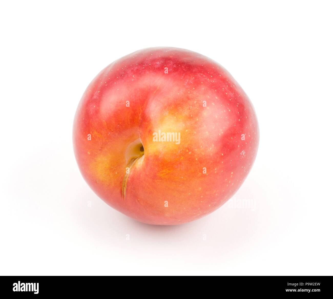 One plum red orange isolated on white background fresh and glossy Stock ...
