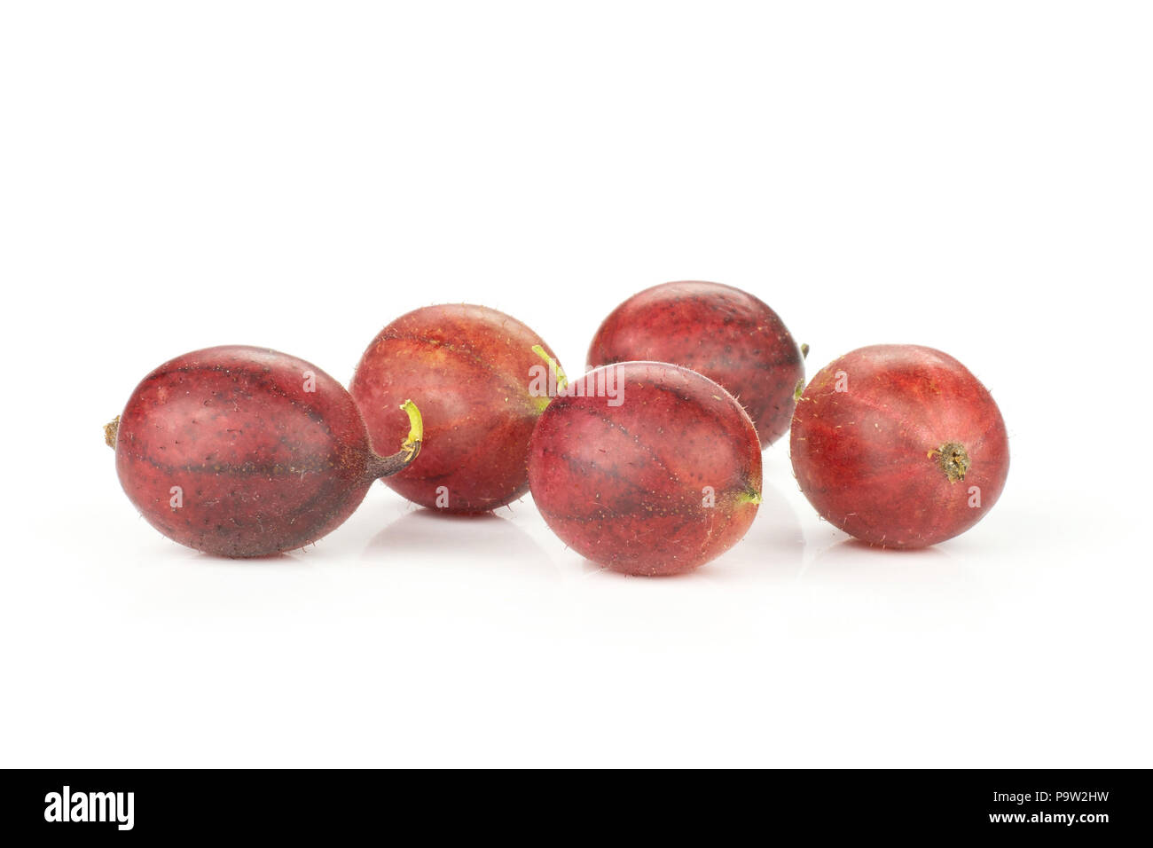 ‘hinnomaki red’ gooseberry hi-res stock photography and images - Alamy