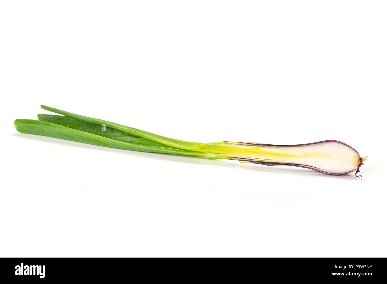 One half of fresh green spring onion red scallion variety cross section ...