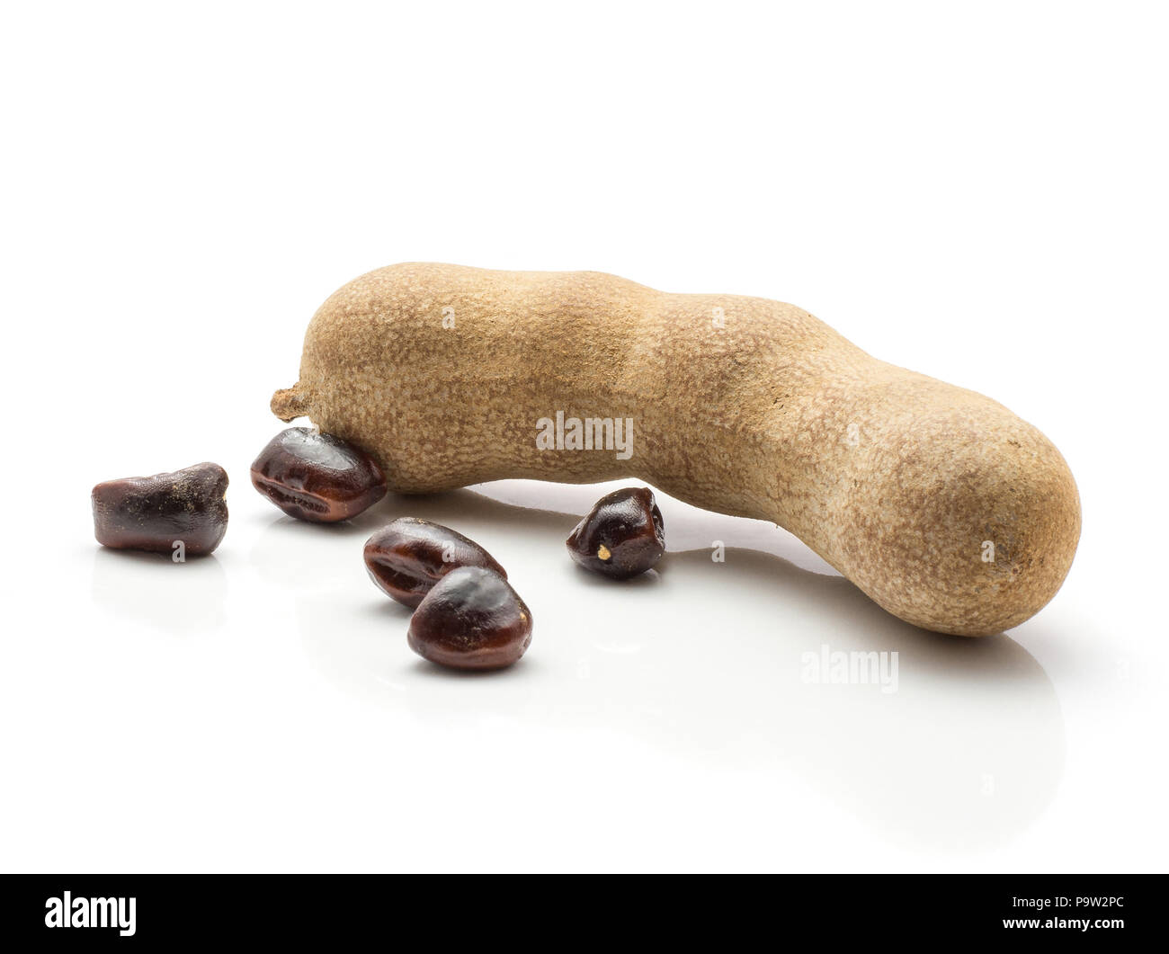 One tamarind in a brittle shell with five flat glossy seeds isolated on ...