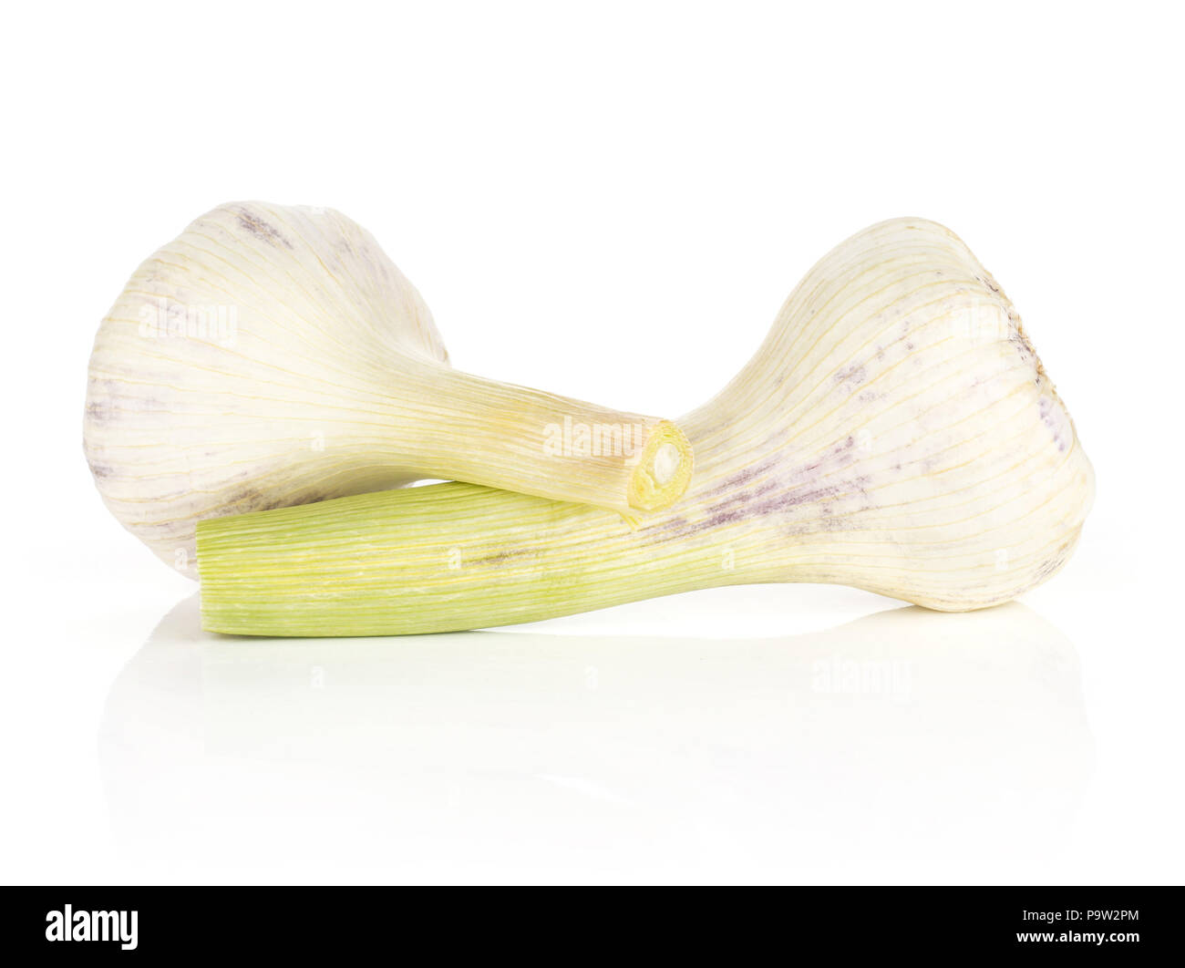 Young garlic with green stems two bulbs isolated on white background ...