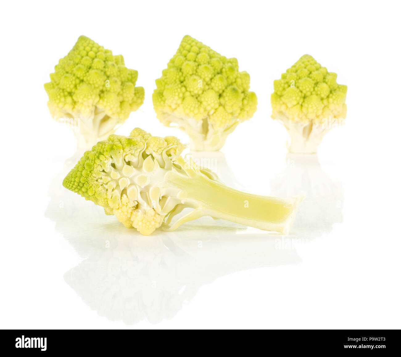 Spiky flower head Cut Out Stock Images & Pictures - Alamy