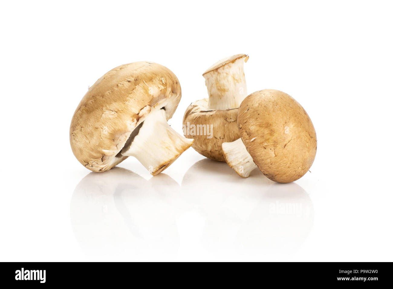 Three fresh raw brown champignons isolated on white background Stock ...
