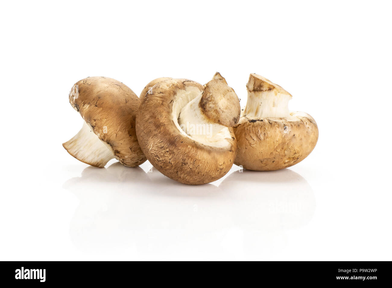 Brown champignons three fresh raw mushrooms isolated on white ...