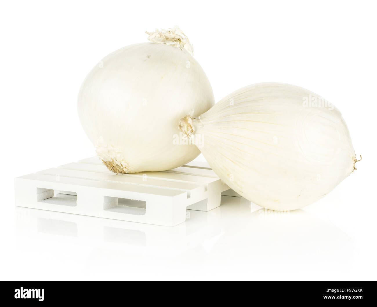 Two white onions fresh pearls on a pallet isolated on white background ...