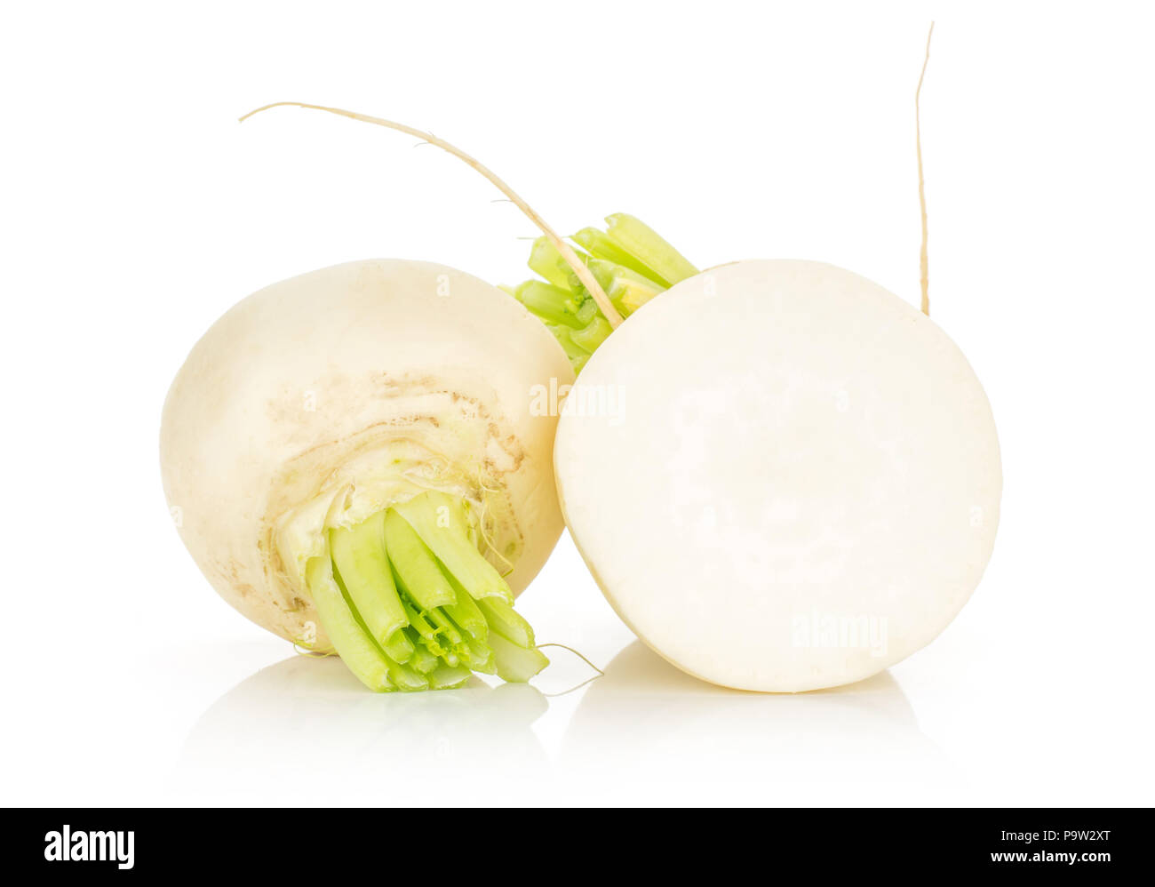 White radish one bulb and section half isolated on white background ...