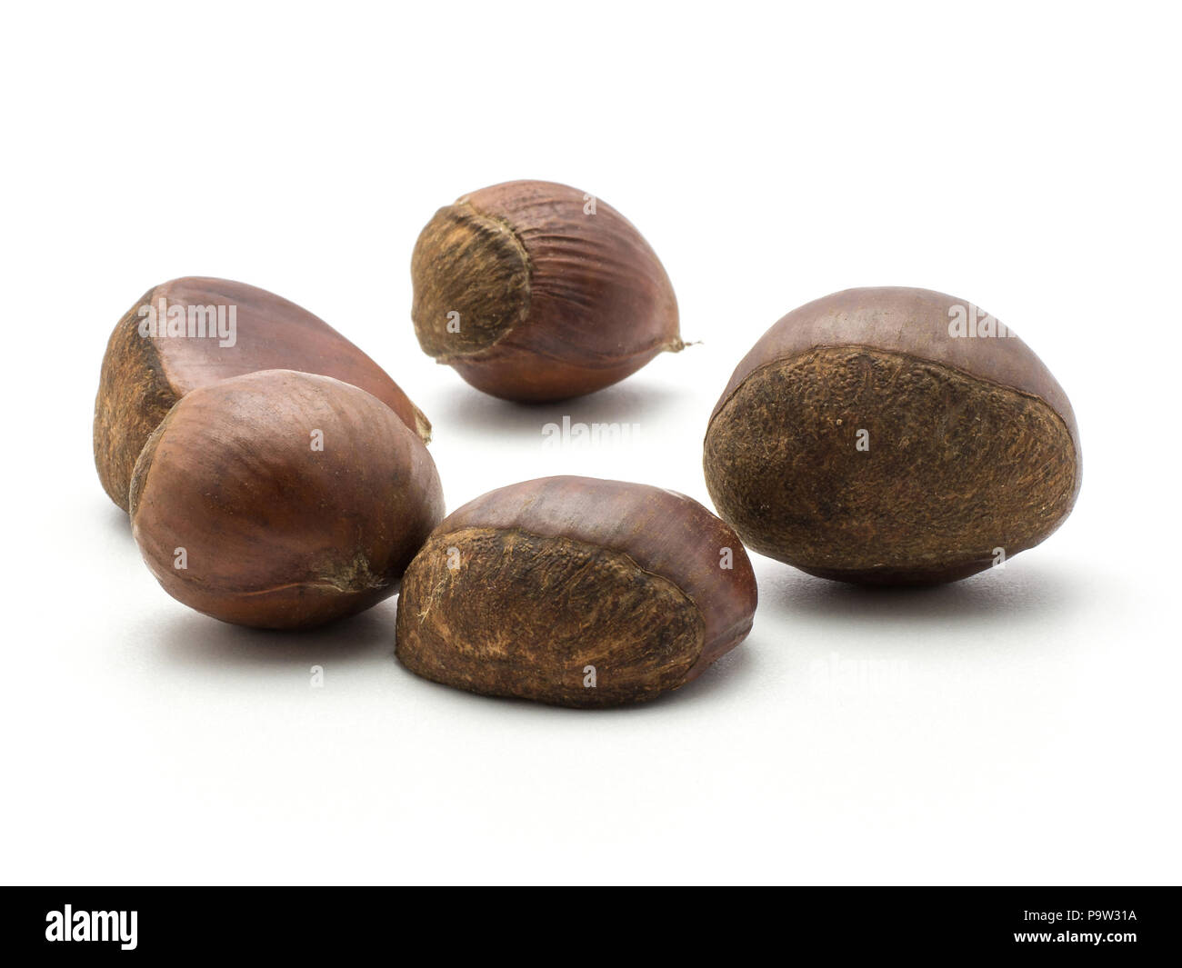 European chestnuts five Spanish edible isolated on white background raw ...
