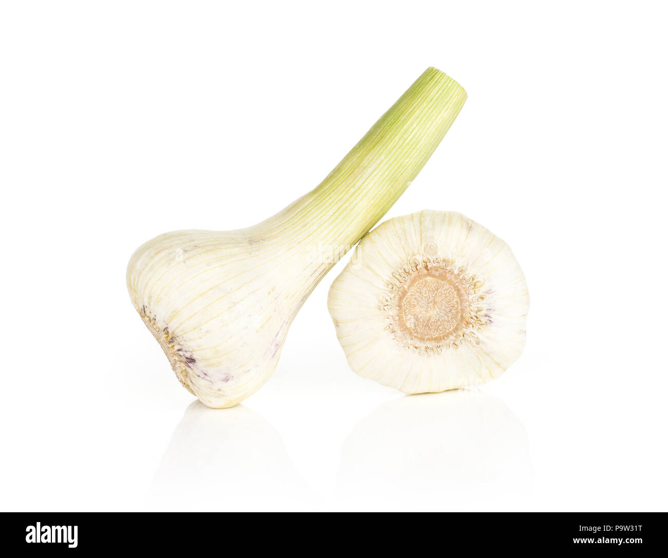 Young garlic two porcelain bulbs with green stems isolated on white ...