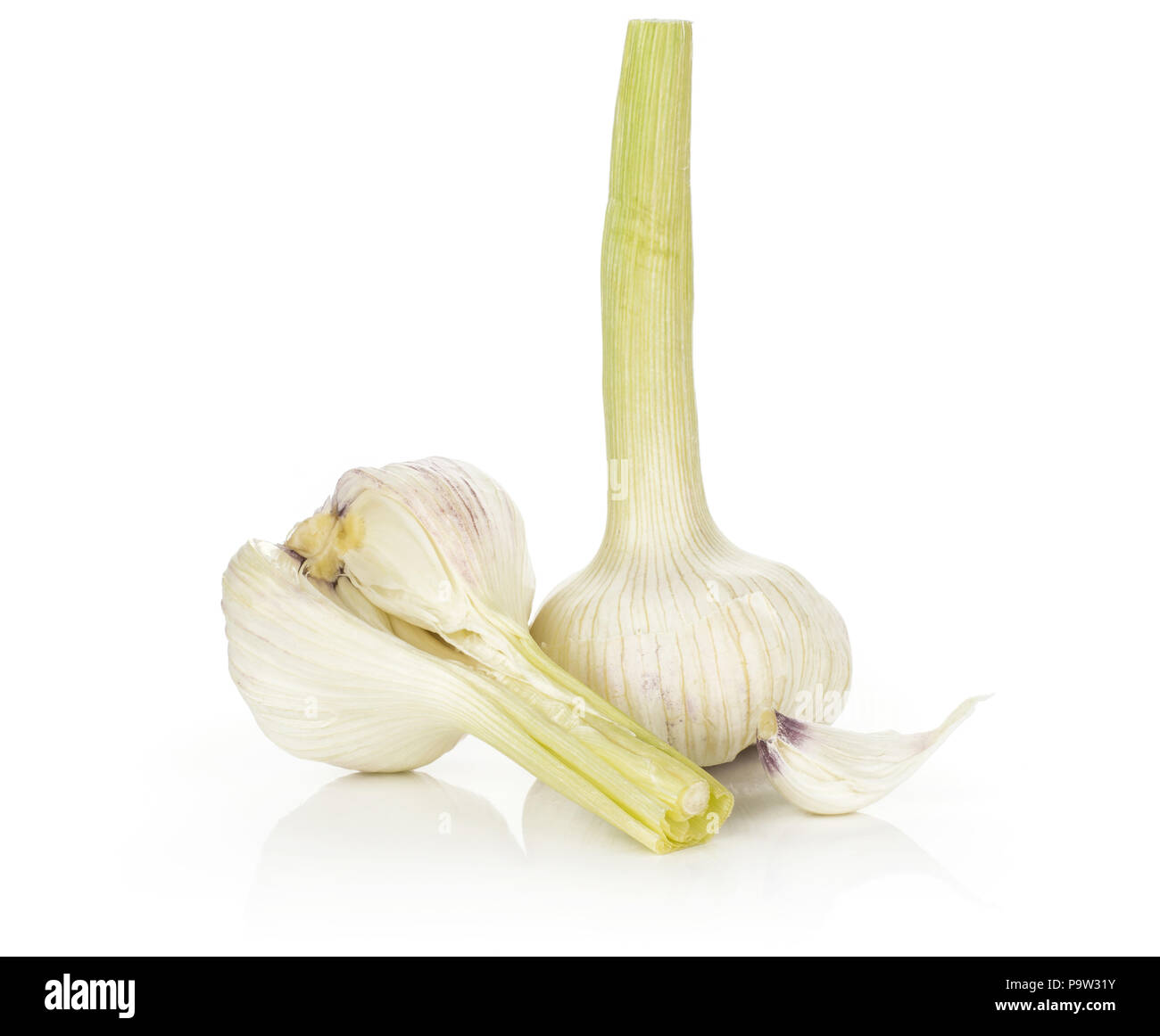Young garlic two open fresh bulbs with one clove isolated on white ...