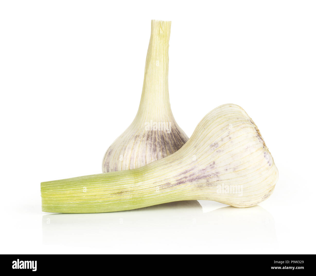 Young garlic two bulbs with green stems isolated on white background ...