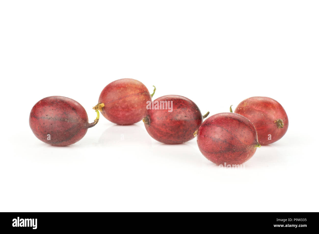 Group of five whole fresh red gooseberry hinnomaki variety isolated on ...