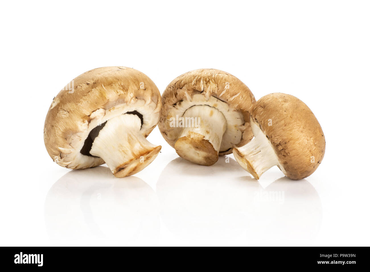 Three fresh brown champignons isolated on white background raw ...