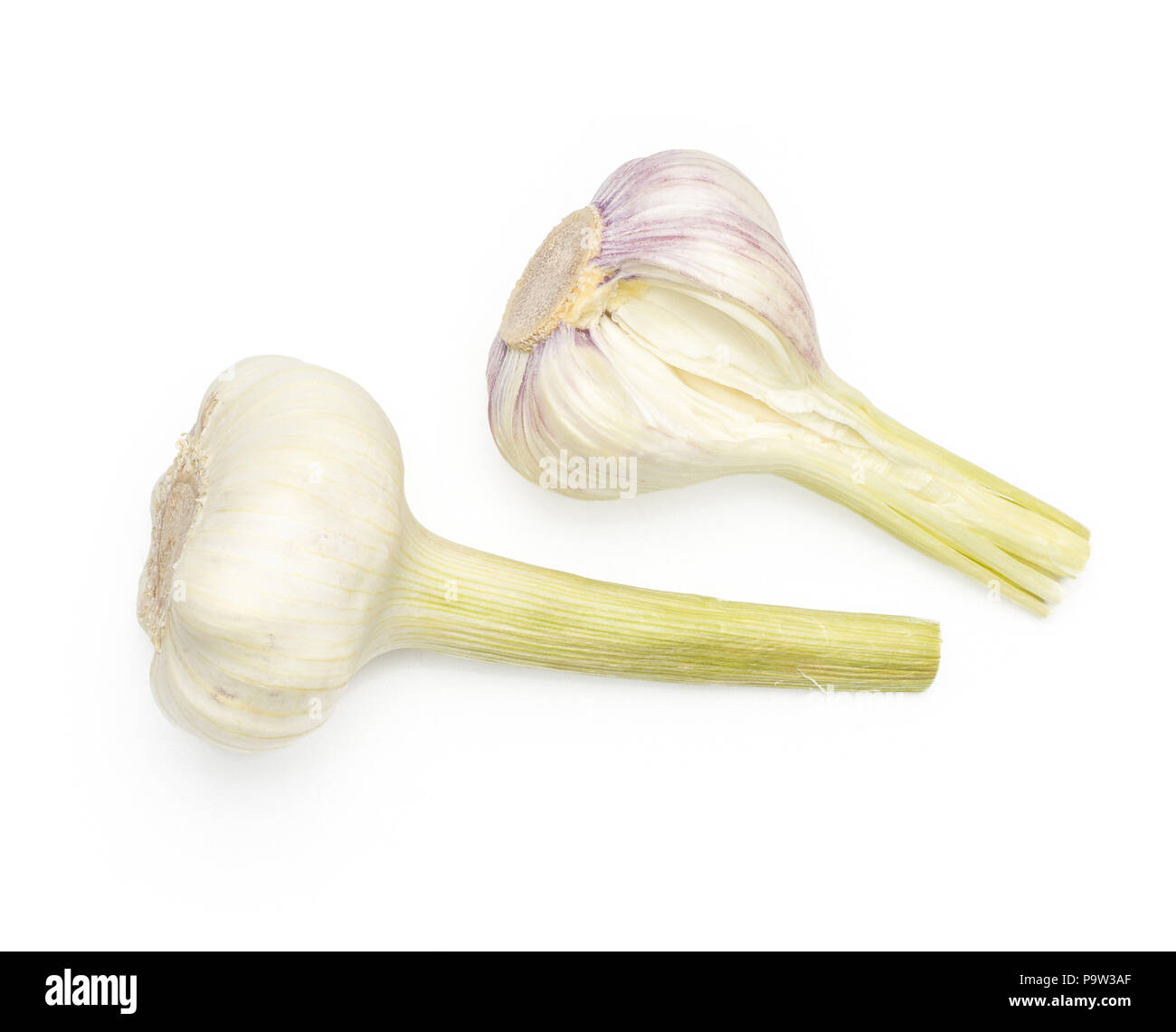 Two young garlic bulbs top view isolated on white background Stock ...