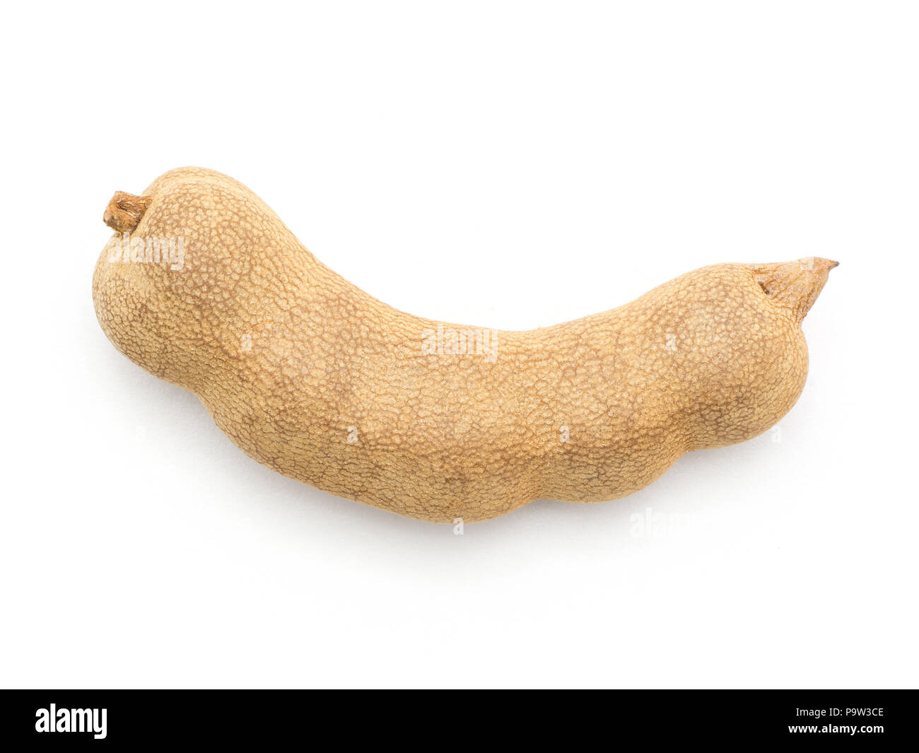 One Indian date tamarind top view isolated on white background Stock ...