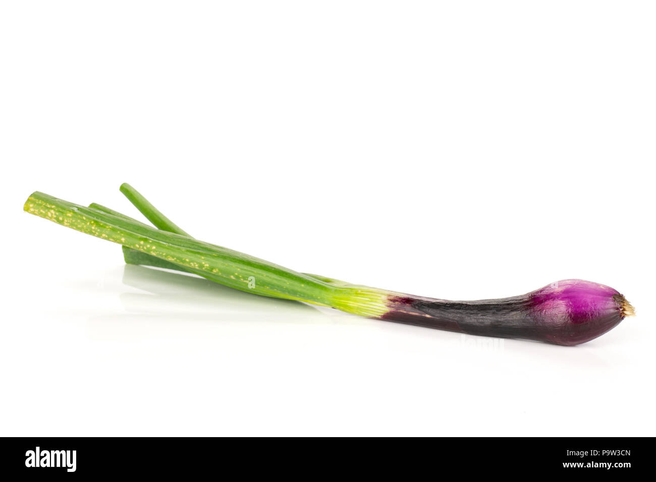 One whole fresh green spring onion red scallion variety with small ...