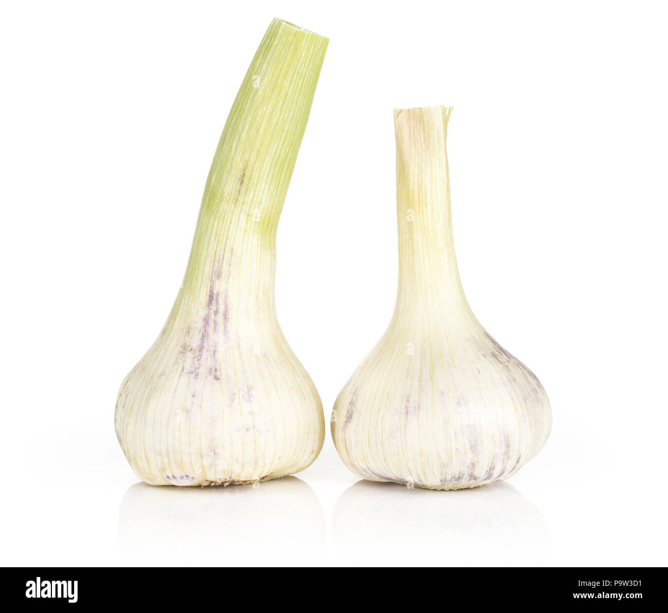 Two young garlic bulbs with green stems isolated on white background ...